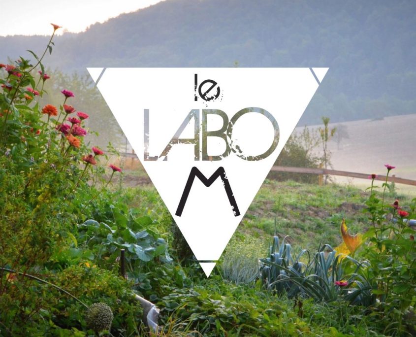 Lassociation Le Labo M Est Officiellement Enregistrée Association Le Labo M